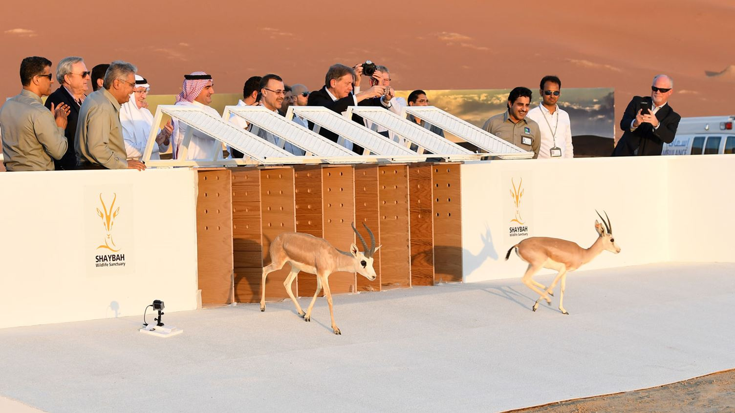 Latest Saudi News Updates from KSA Today